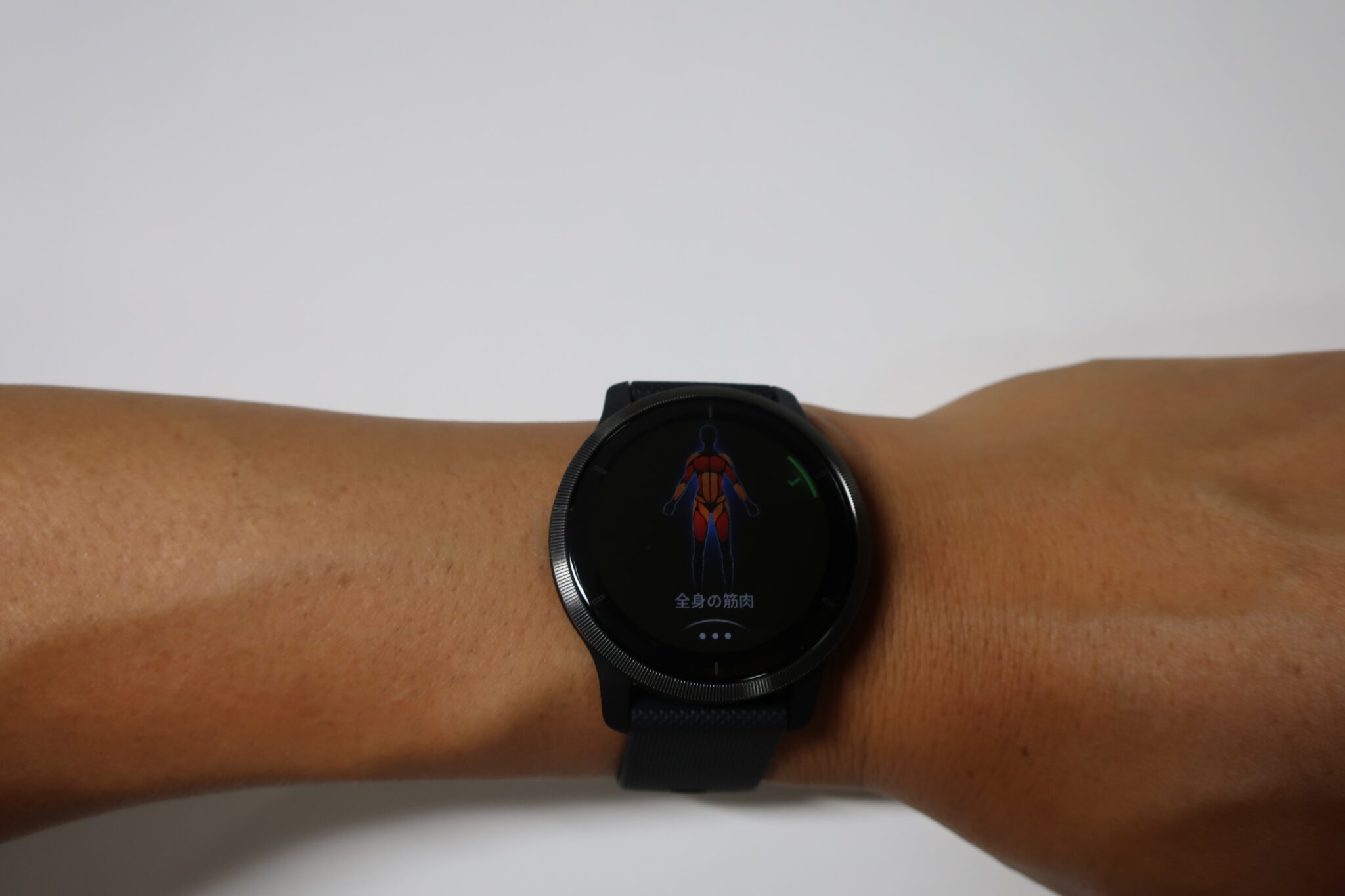 ガーミンのスマートウォッチ「Garmin Venu2」レビュー!使って便利だった機能も説明します - ビジネスマン 40代からはじめる自己改革